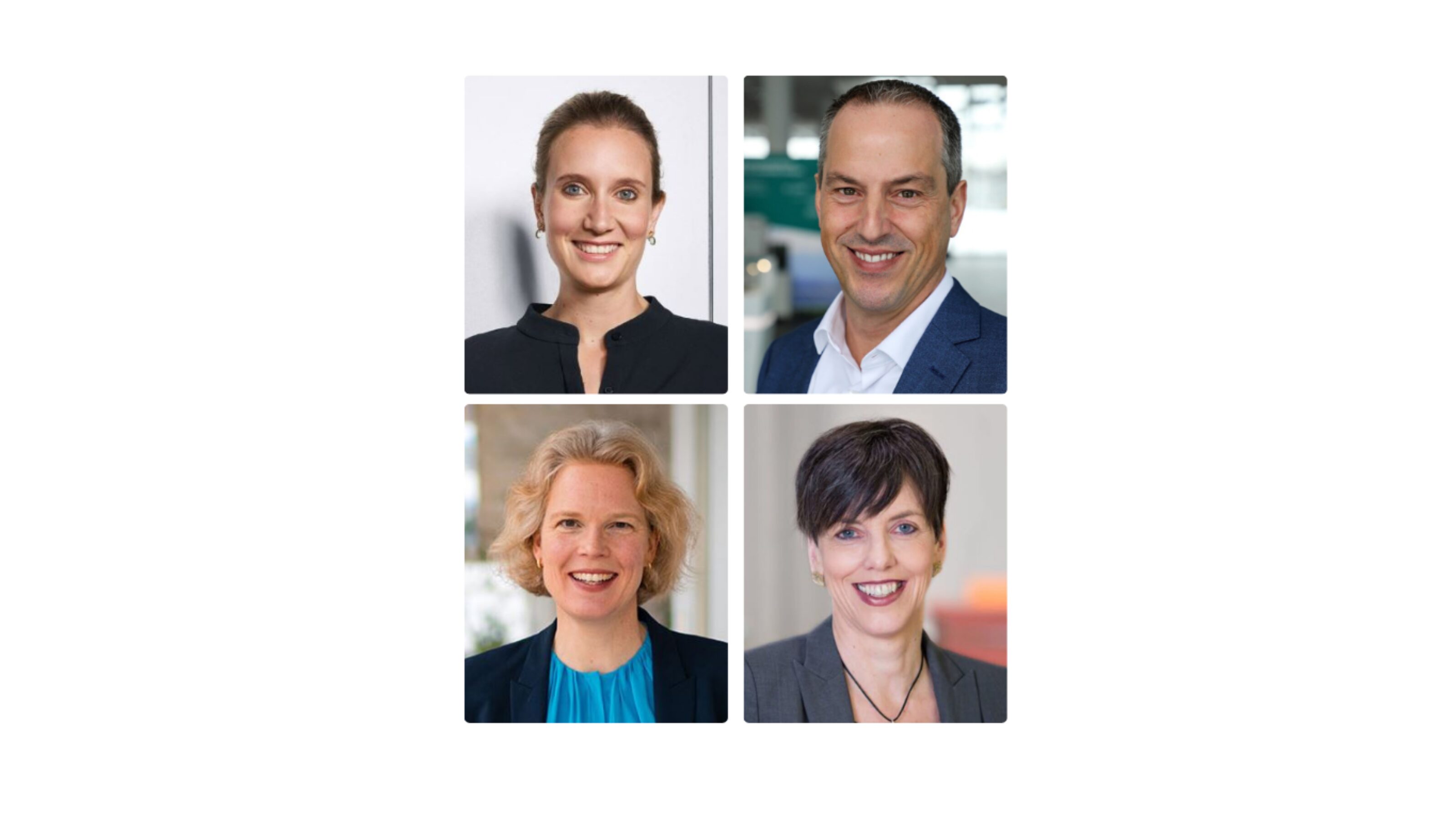 DGFP-Mitgliederversammlung 2025: Vier neue Mitglieder in den DGFP ...